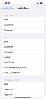 iPhone 13 - iOS 16 - How to set up MMS, step 6