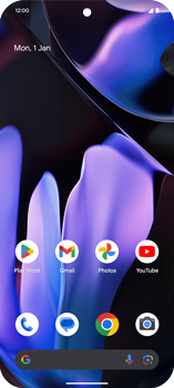 Pixel 9 Pro XL - User guide, step 1